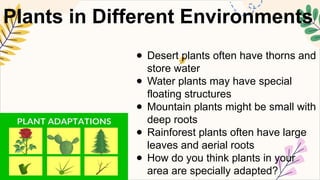 SCIENCE5 Q2 7 describe the purpose of specialized structures in plants ...