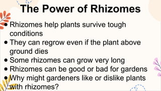 SCIENCE5 Q2 7 describe the purpose of specialized structures in plants ...