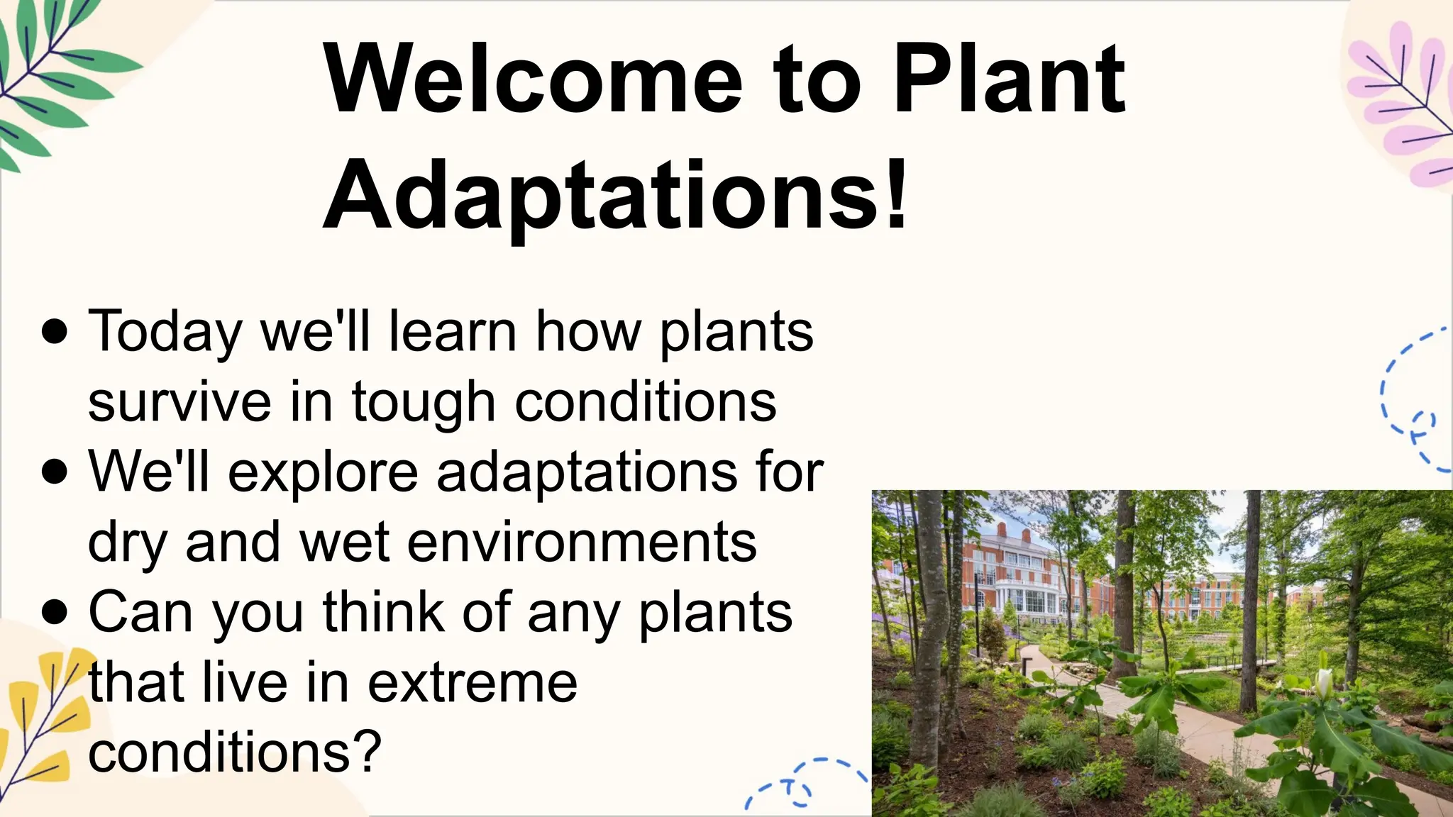SCIENCE5 Q2 8 explain how some plants have adapted to unfavorable ...