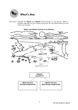 Abiotic Factor Drawing