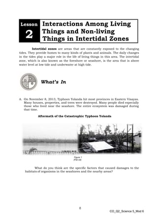Science5_q2_mod6_EstuariesAndIntertidalZones_v2.pdf