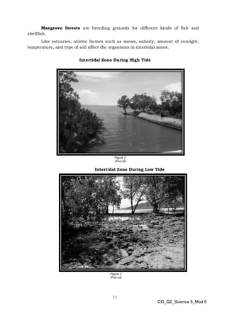 Science5_q2_mod6_EstuariesAndIntertidalZones_v2.pdf