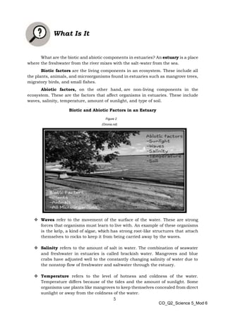 Science5_q2_mod6_EstuariesAndIntertidalZones_v2.pdf