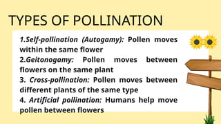 SCIENCE 5 SEXUAL PRODUCTION OF PLANTS.pptx