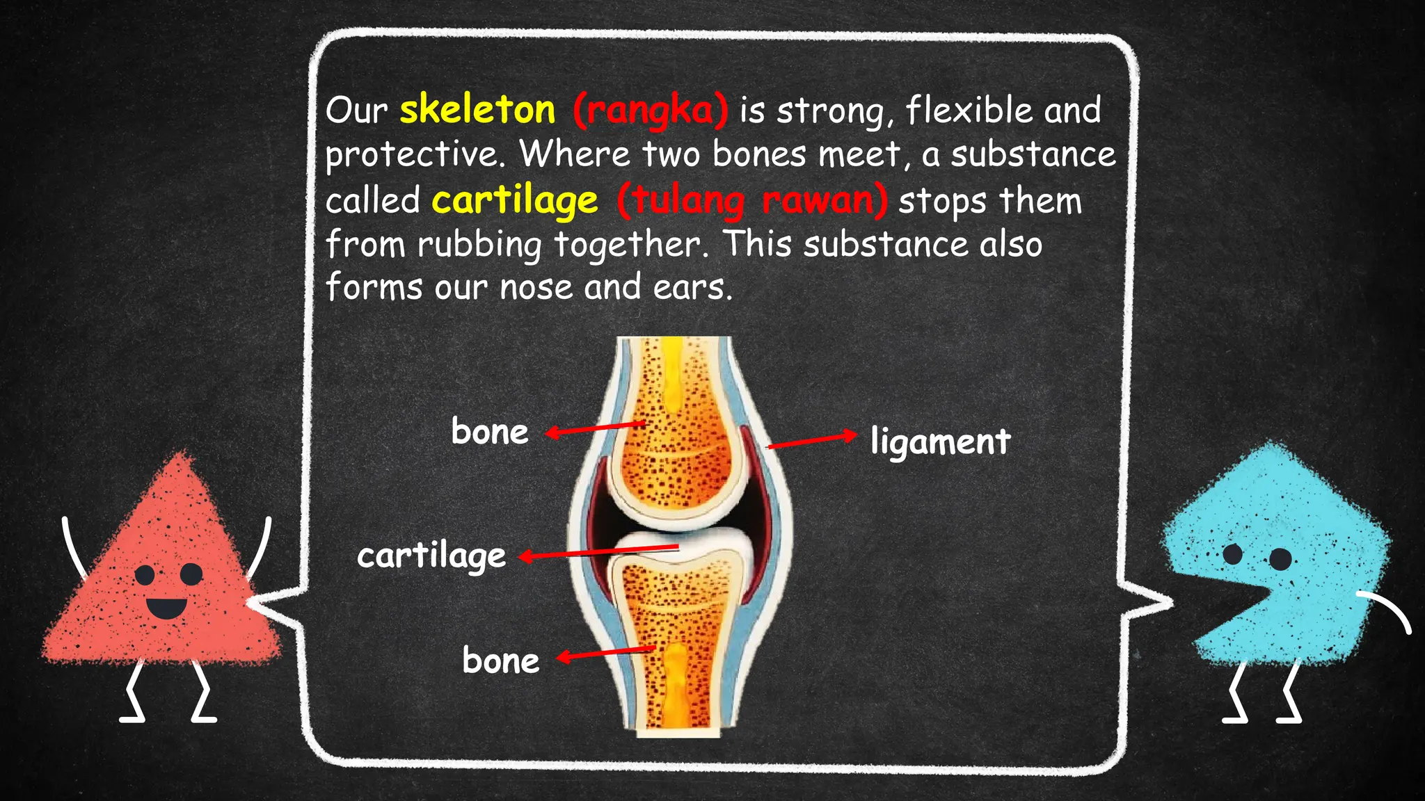 science 5 unit 1 part 1 skeletal and muscular system.pptx