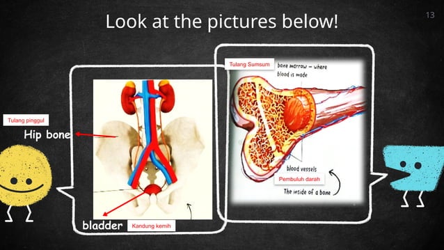 science 5 unit 1 part 1 skeletal and muscular system.pptx