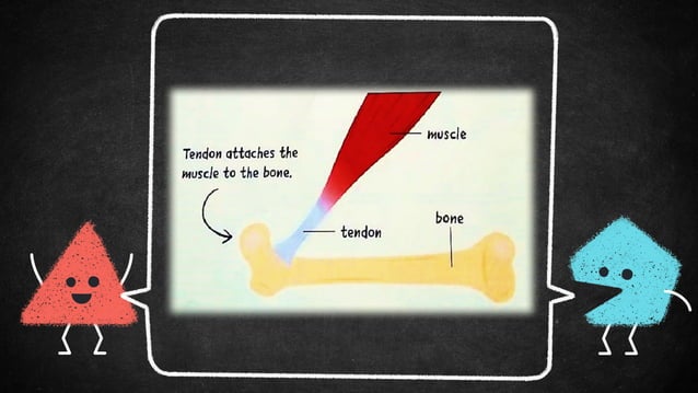 science 5 unit 1 part 1 skeletal and muscular system.pptx