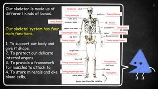science 5 unit 1 part 1 skeletal and muscular system.pptx