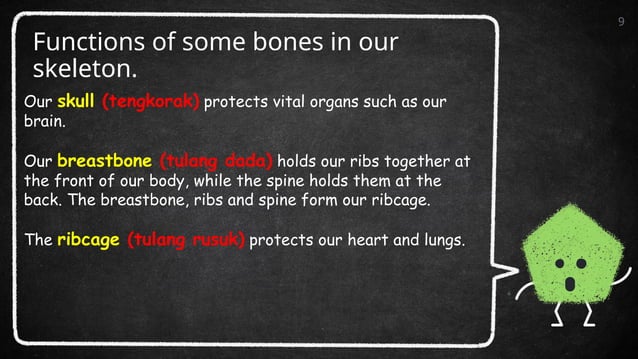 science 5 unit 1 part 1 skeletal and muscular system.pptx