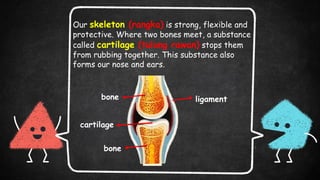 science 5 unit 1 part 1 skeletal and muscular system.pptx