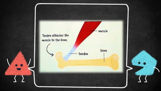 science 5 unit 1 part 1 skeletal and muscular system.pptx