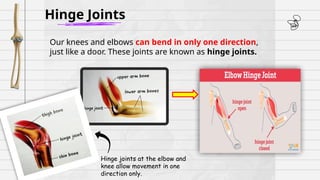 science 5 unit 1 part 2 skeletal and muscular system.pptx
