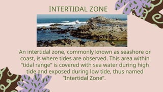 Co presentation for SCIENCE 5 WEEK 8.pptx