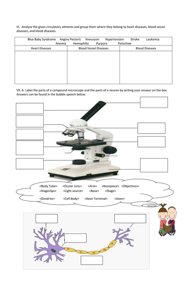 1st quarter Science 6 | DOCX | Heart and Cardiovascular Diseases ...
