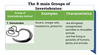 Science 6- Characteristics of Invertebrates.pptx