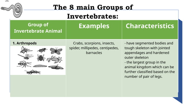Science 6- Characteristics of Invertebrates.pptx