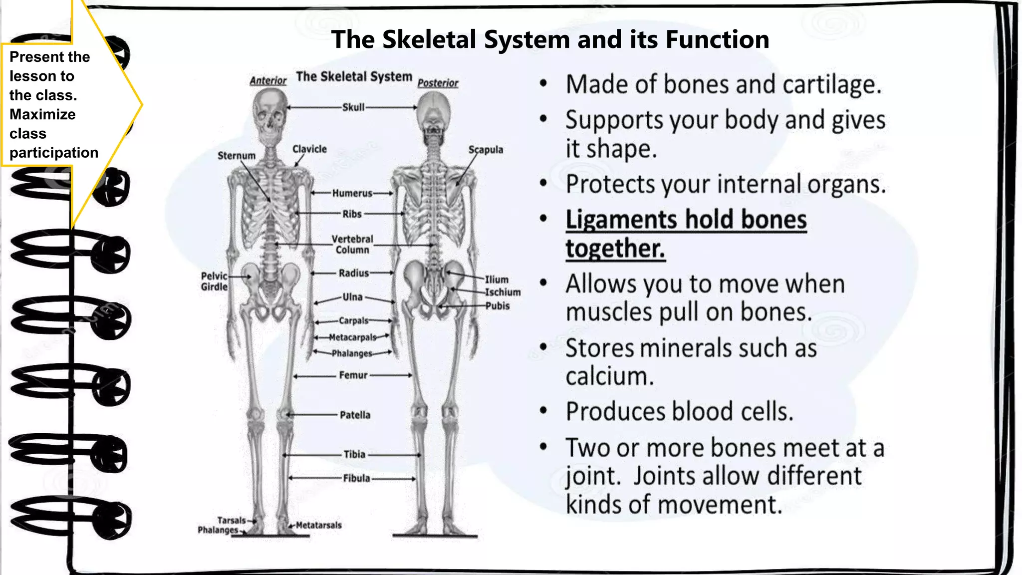 SCIENCE 6-Q2-W1.pptx