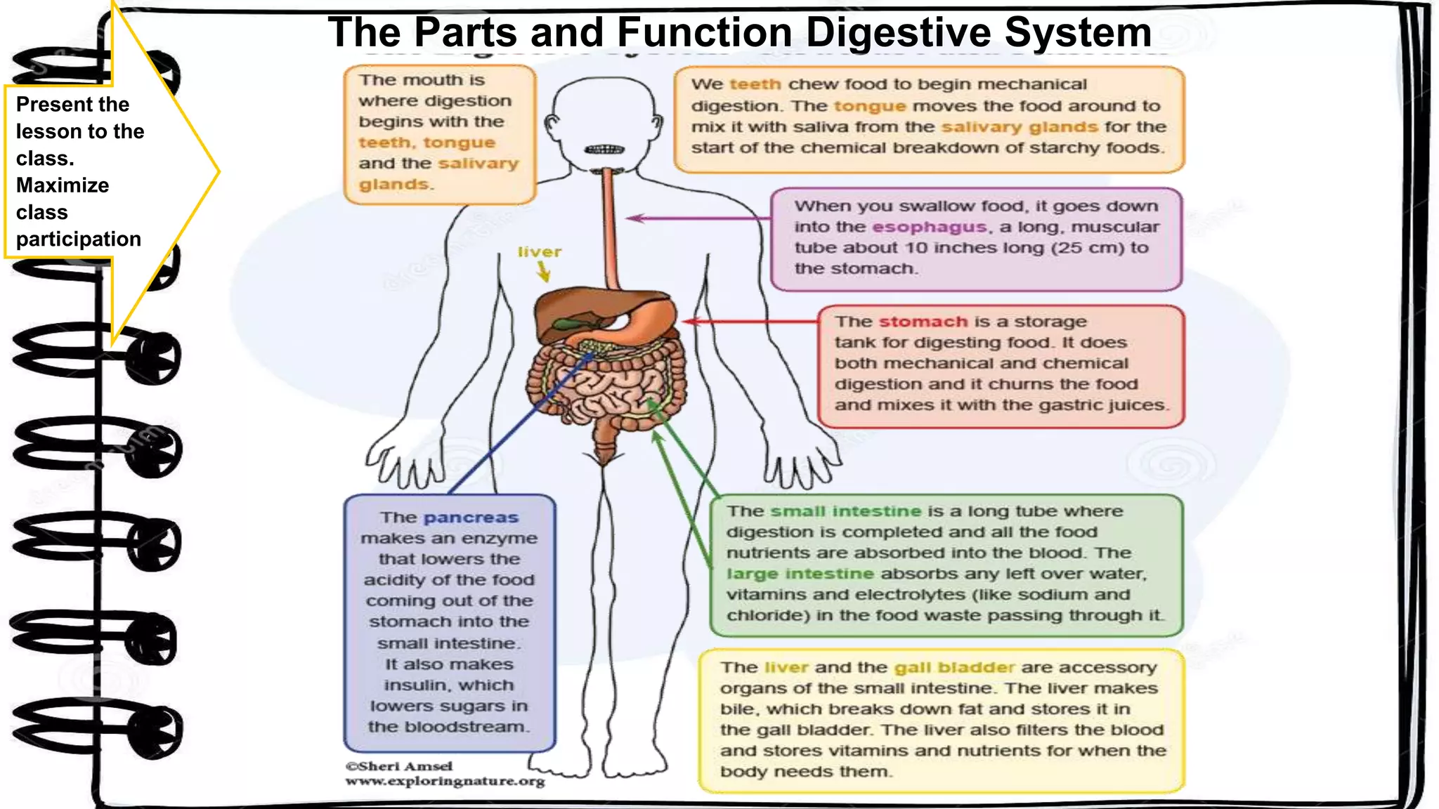 SCIENCE 6-Q2-W1.pptx