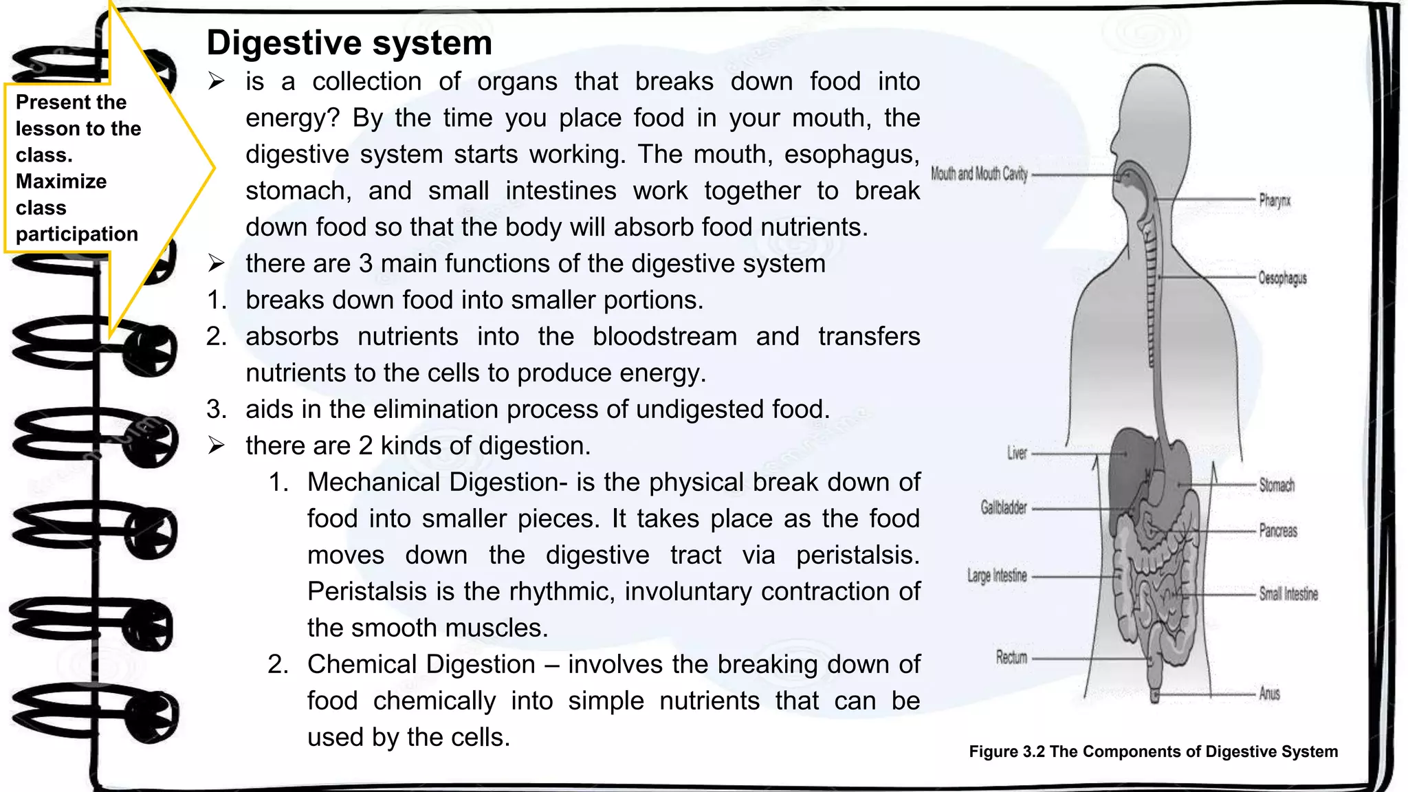 SCIENCE 6-Q2-W1.pptx