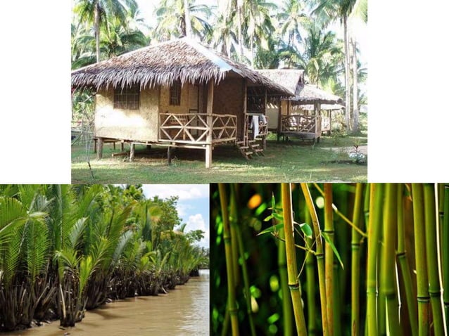 Science 6 Ecosytem Ppt 