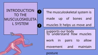 SCIENCE 6 MUSCLES 2ND QUARTER LESSON.pptx