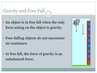 Free Fall Science Definition