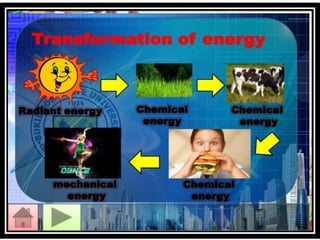 SCIENCE 6 PPT Q3 W4 - Energy Transformation.pptx