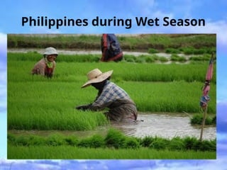 SCIENCE 6 PPT Q4 W1 - Weather Patterns In The Philippines.pptx