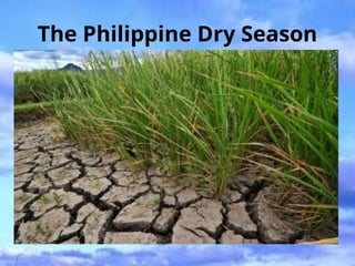 SCIENCE 6 PPT Q4 W1 - Weather Patterns In The Philippines.pptx