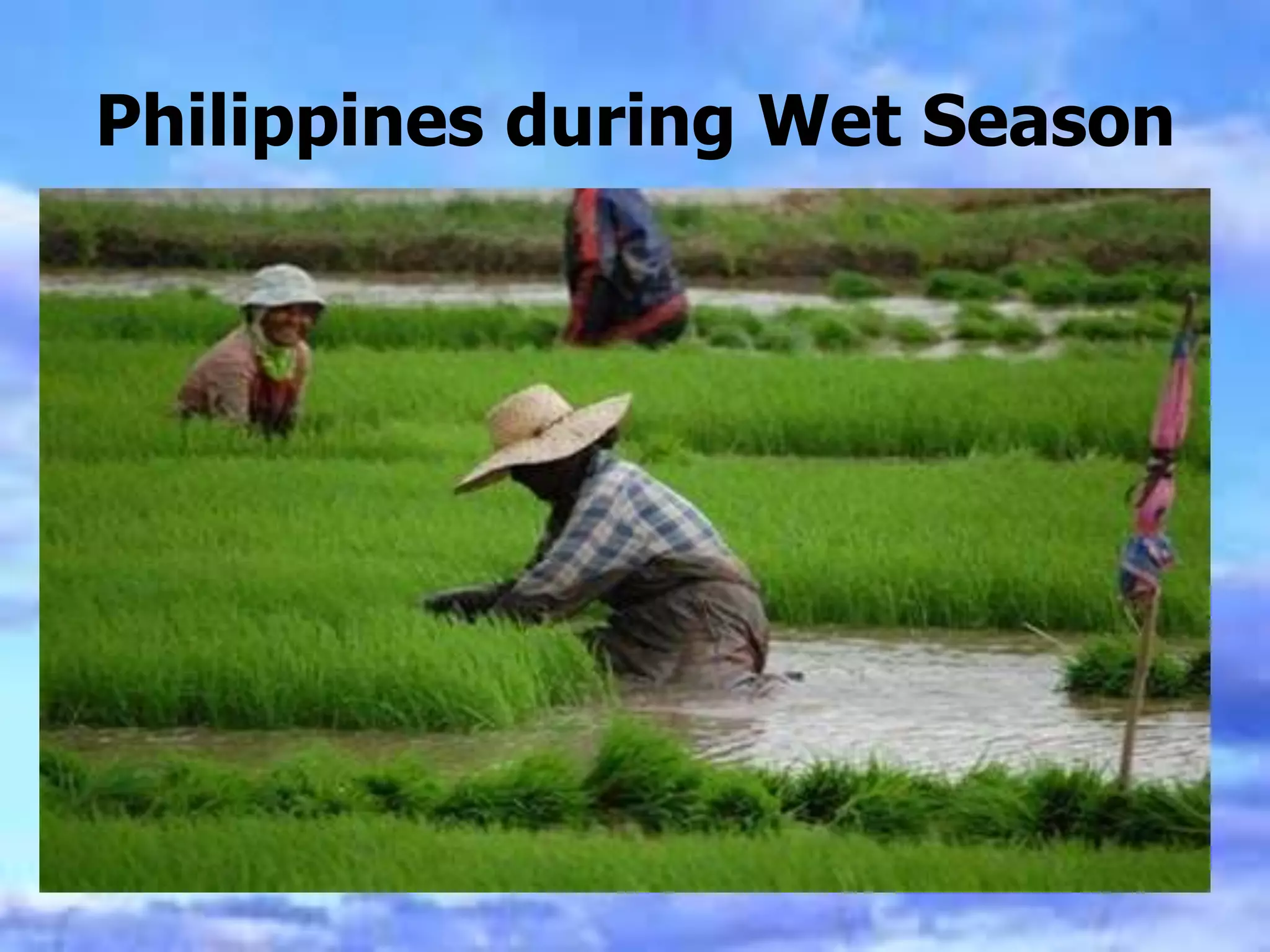 SCIENCE 6 PPT Q4 W3 - Weather Patterns In The Philippines (1).pptx