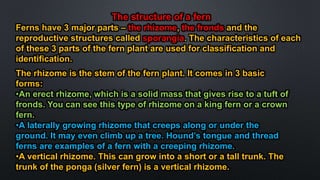 Science 6 Q2-W7-D1_Parts of Fern.pptx | Free Download