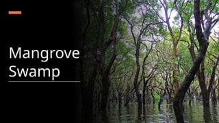 Science 6_Q2_ ECOSYSTEM TROPICAL,CORAL REEFS AND MANGROVE SWAMPS | PPTX