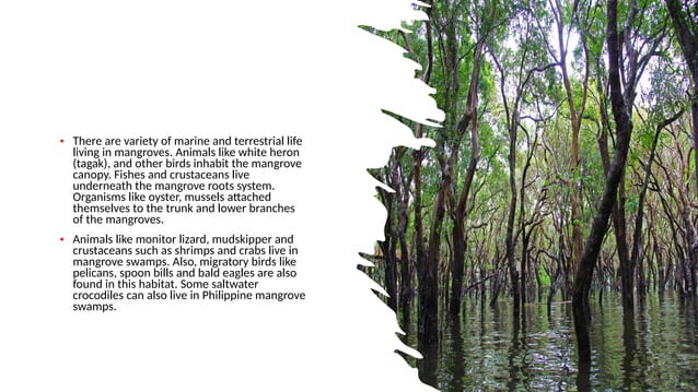 Science 6_Q2_ ECOSYSTEM TROPICAL,CORAL REEFS AND MANGROVE SWAMPS | PPTX