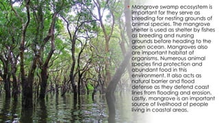 Science 6_Q2_ ECOSYSTEM TROPICAL,CORAL REEFS AND MANGROVE SWAMPS | PPTX