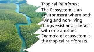 Science 6_Q2_ ECOSYSTEM TROPICAL,CORAL REEFS AND MANGROVE SWAMPS | PPTX