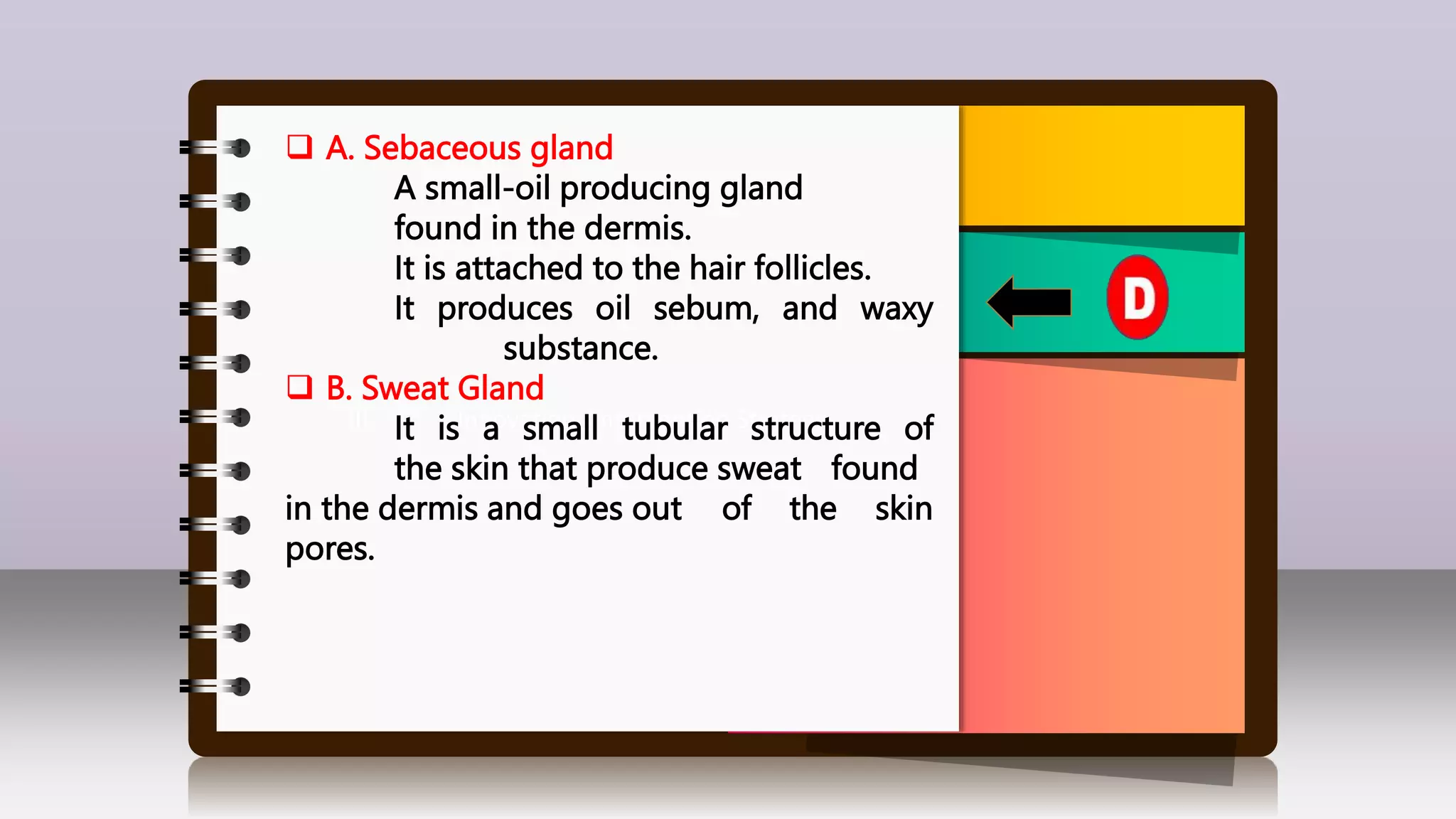 Science 6_Q2_L2_Parts and Functions of the Integumentary System.pptx