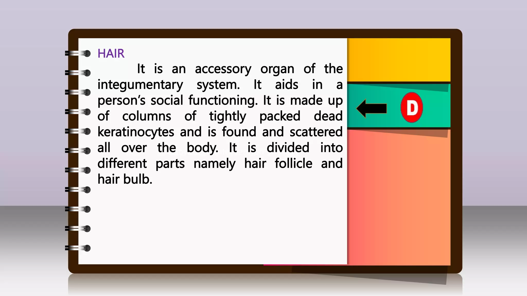 Science 6_Q2_L2_Parts and Functions of the Integumentary System.pptx