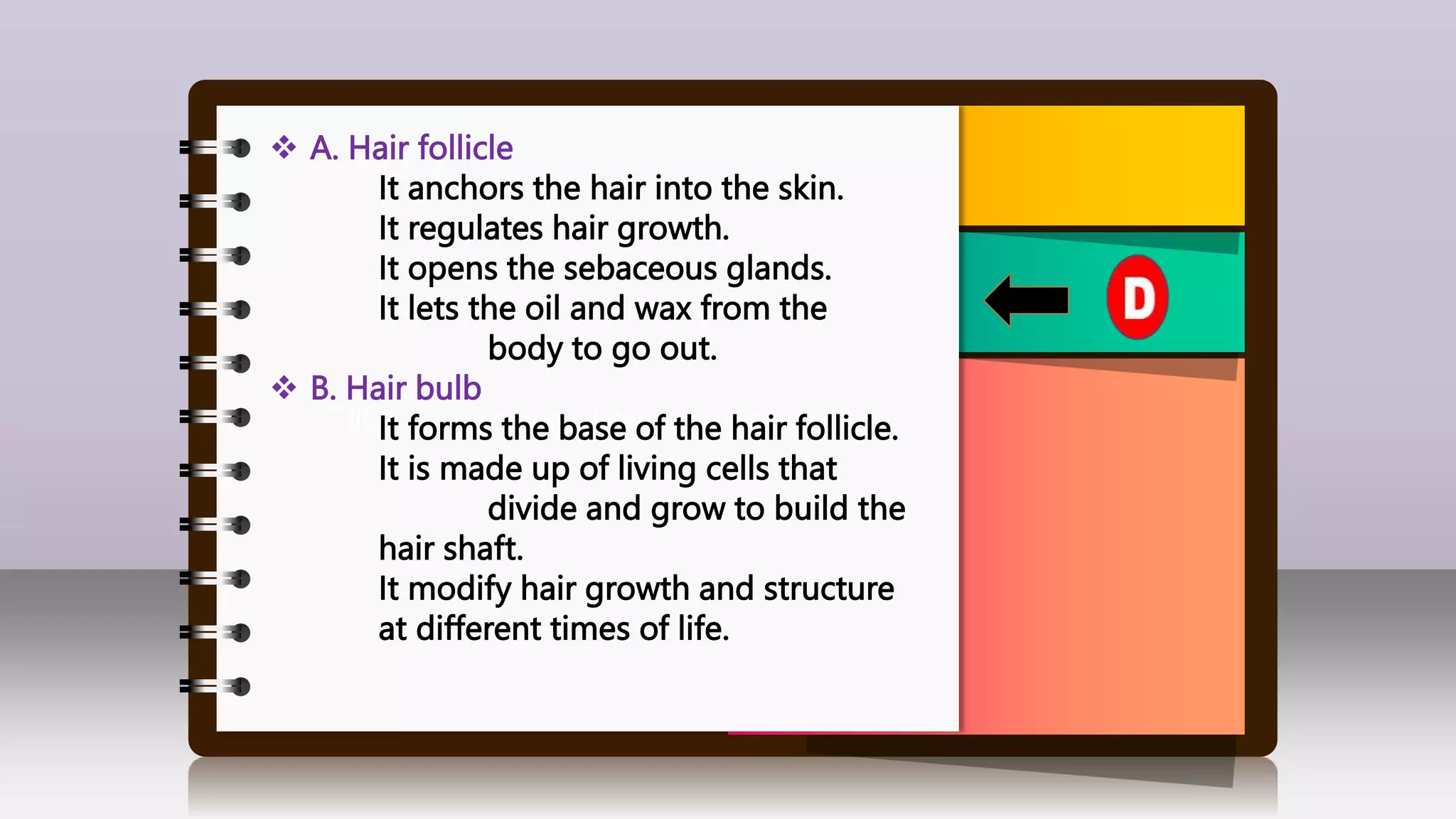 Science 6_Q2_L2_Parts and Functions of the Integumentary System.pptx