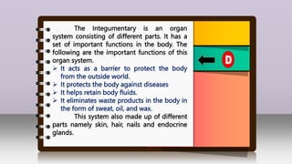 Science 6_Q2_L2_Parts and Functions of the Integumentary System.pptx