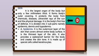 Science 6_Q2_L2_Parts and Functions of the Integumentary System.pptx