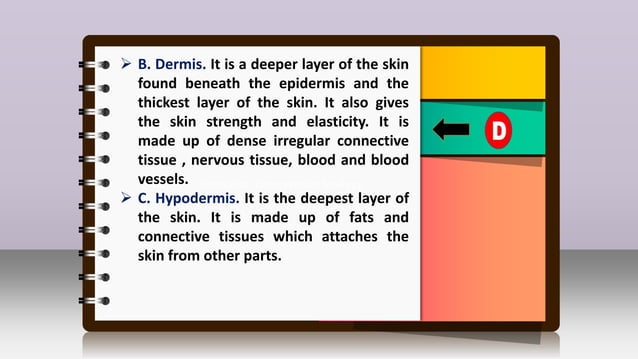Science 6_Q2_L2_Parts and Functions of the Integumentary System.pptx ...
