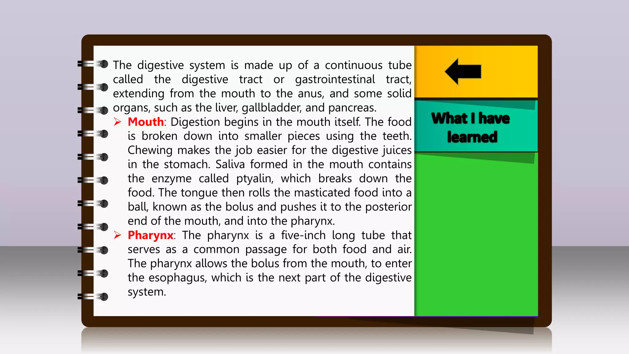 Science 6_Q2_L3_Parts and Function of Digestive System.pptx
