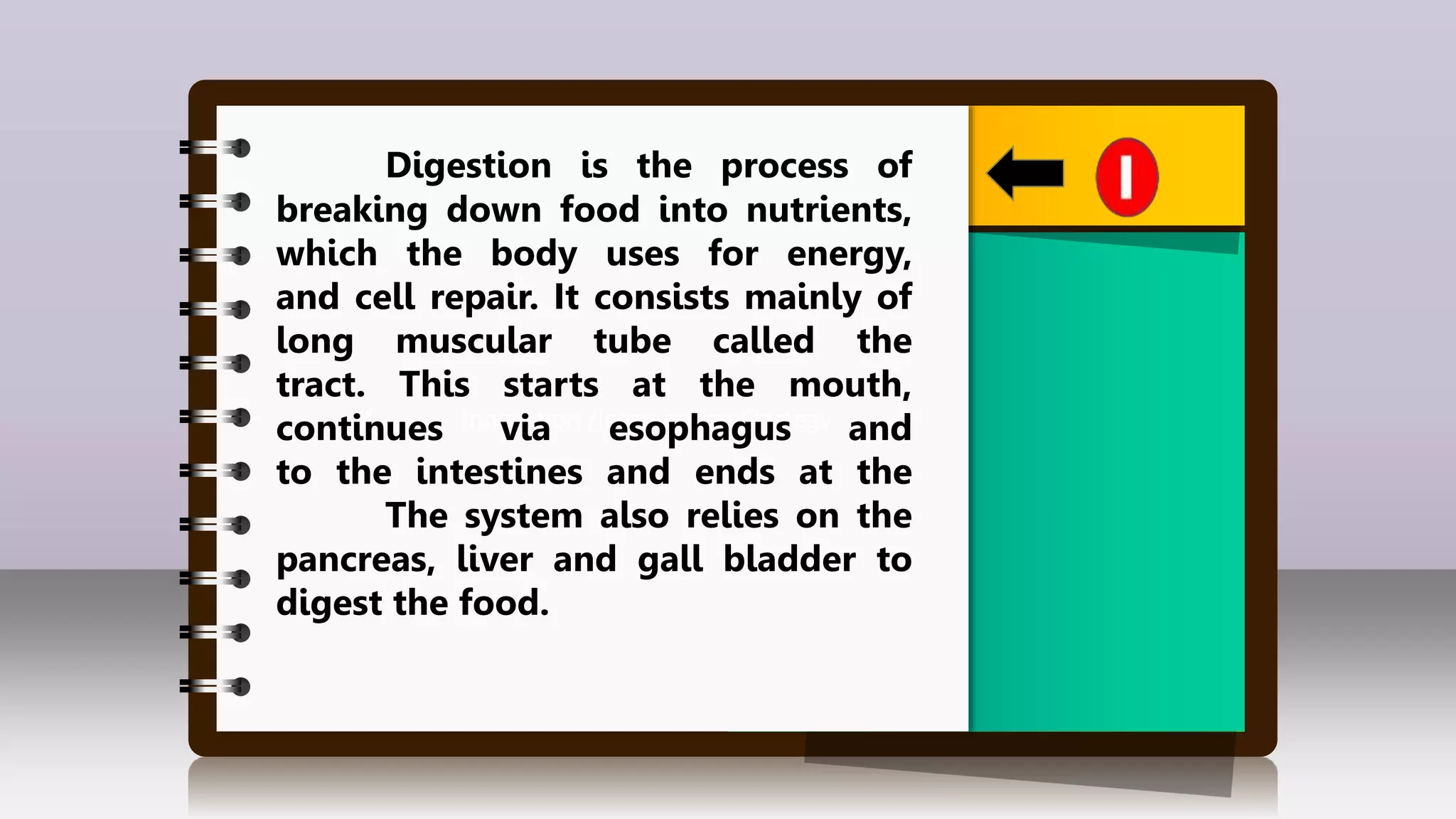 Science 6_Q2_L3_Parts and Function of Digestive System.pptx