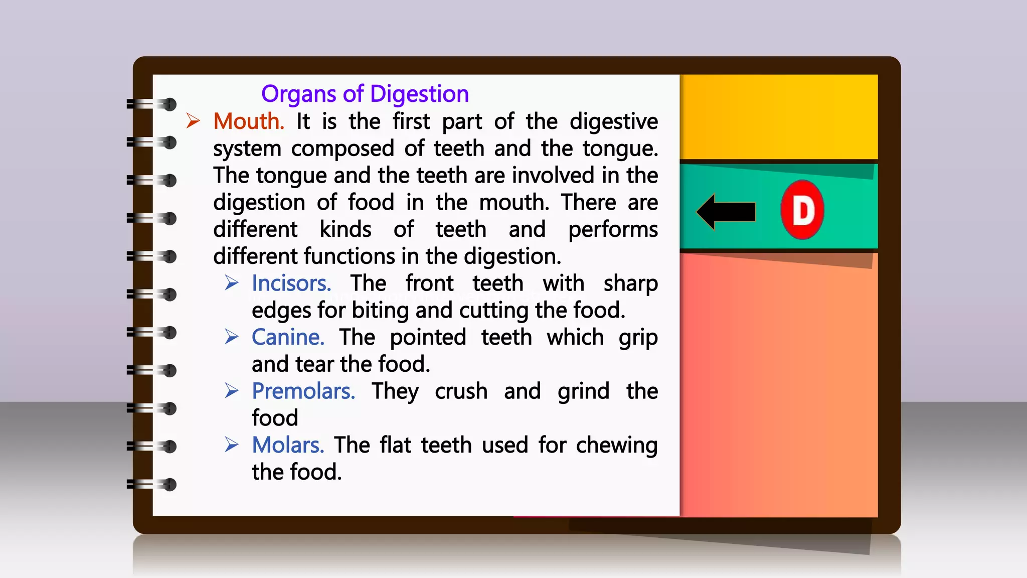 Science 6_Q2_L3_Parts and Function of Digestive System.pptx