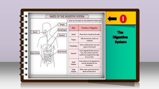Science 6_Q2_L3_Parts and Function of Digestive System.pptx