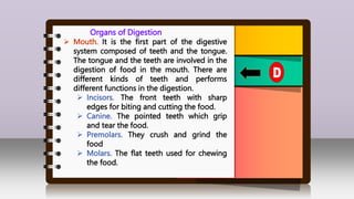 Science 6_Q2_L3_Parts and Function of Digestive System.pptx
