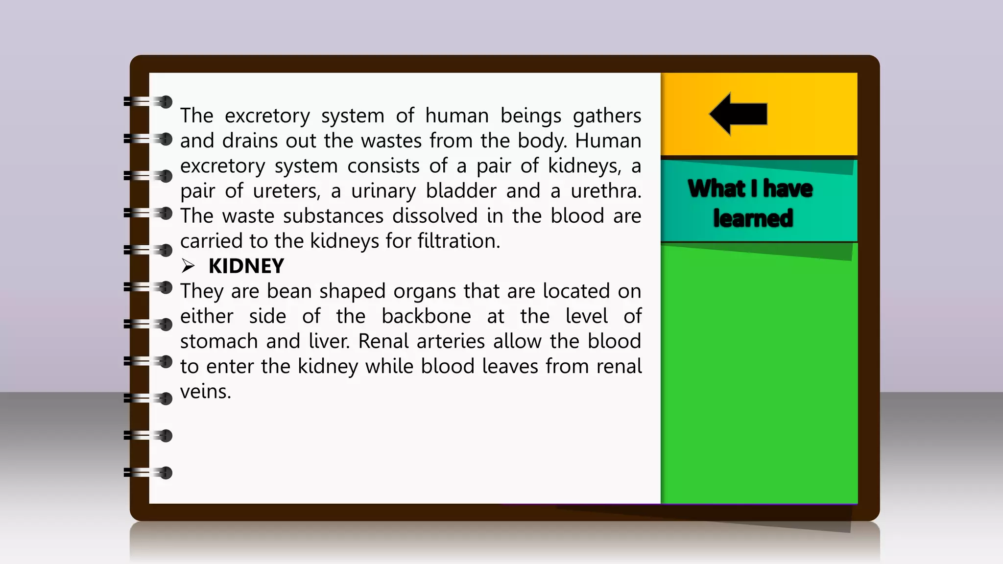 Science 6_Q2_L4_Parts and Function of Excretory System.pptx