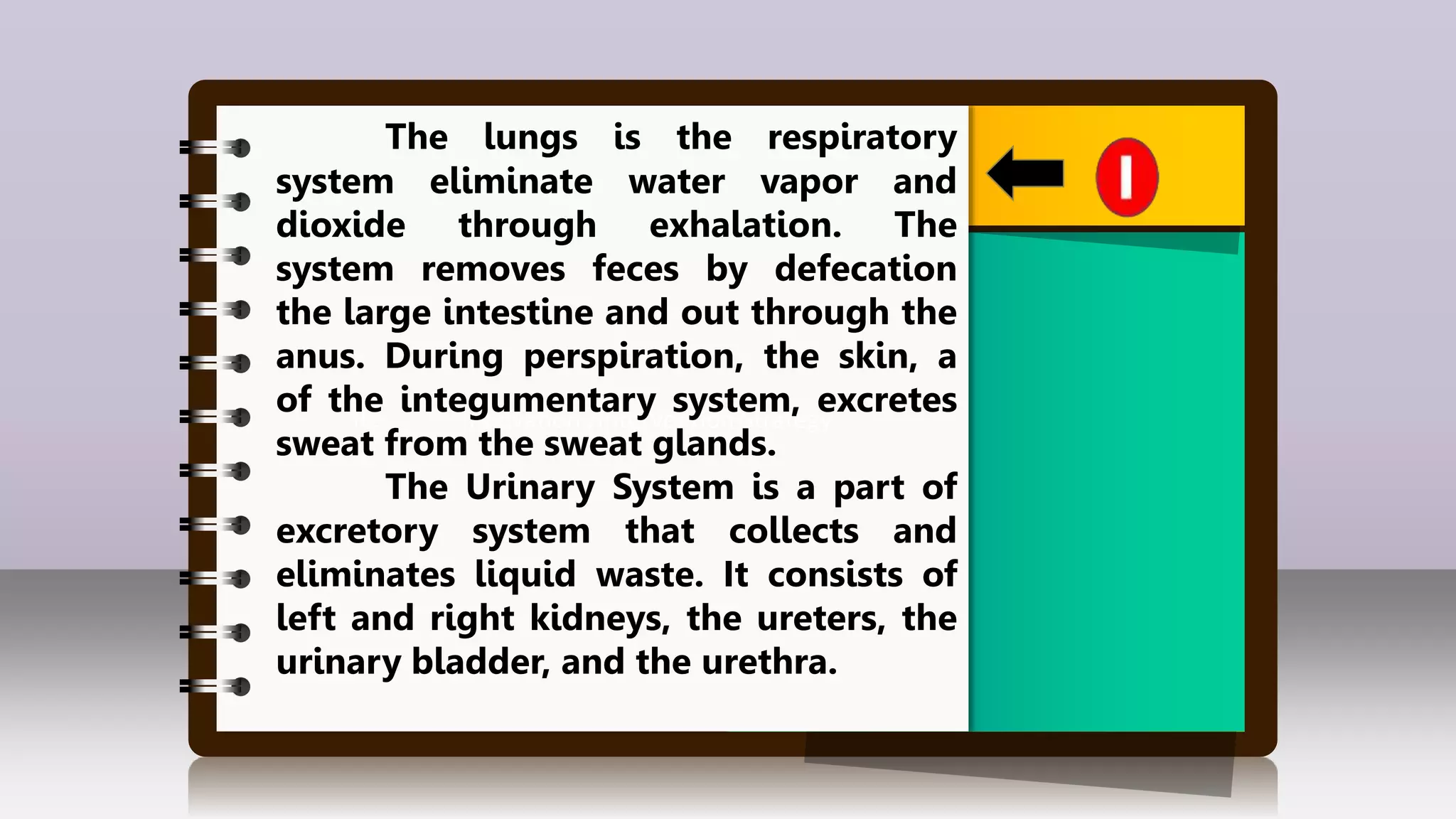 Science 6_Q2_L4_Parts and Function of Excretory System.pptx