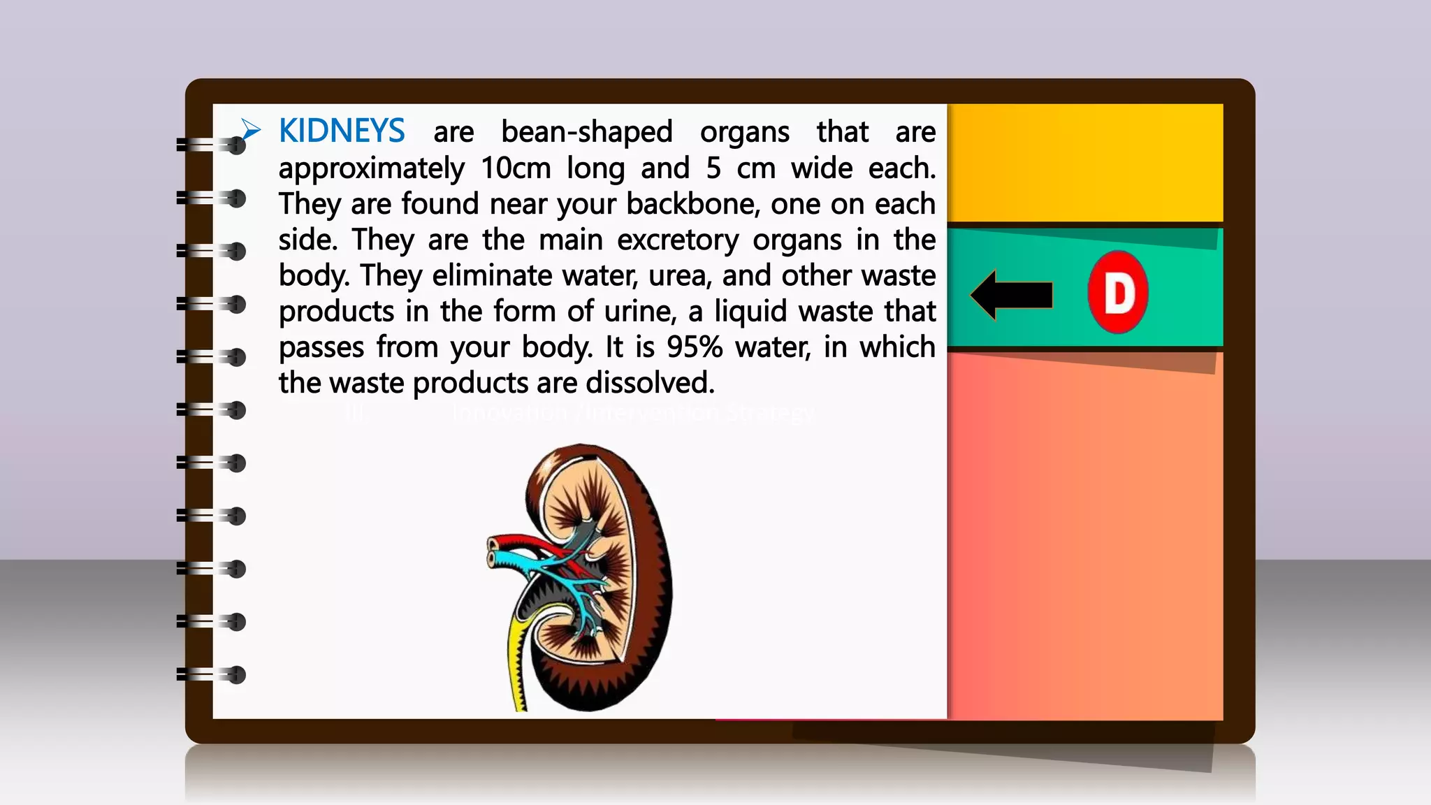 Science 6_Q2_L4_Parts and Function of Excretory System.pptx