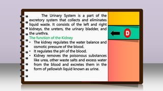 Science 6_Q2_L4_Parts and Function of Excretory System.pptx